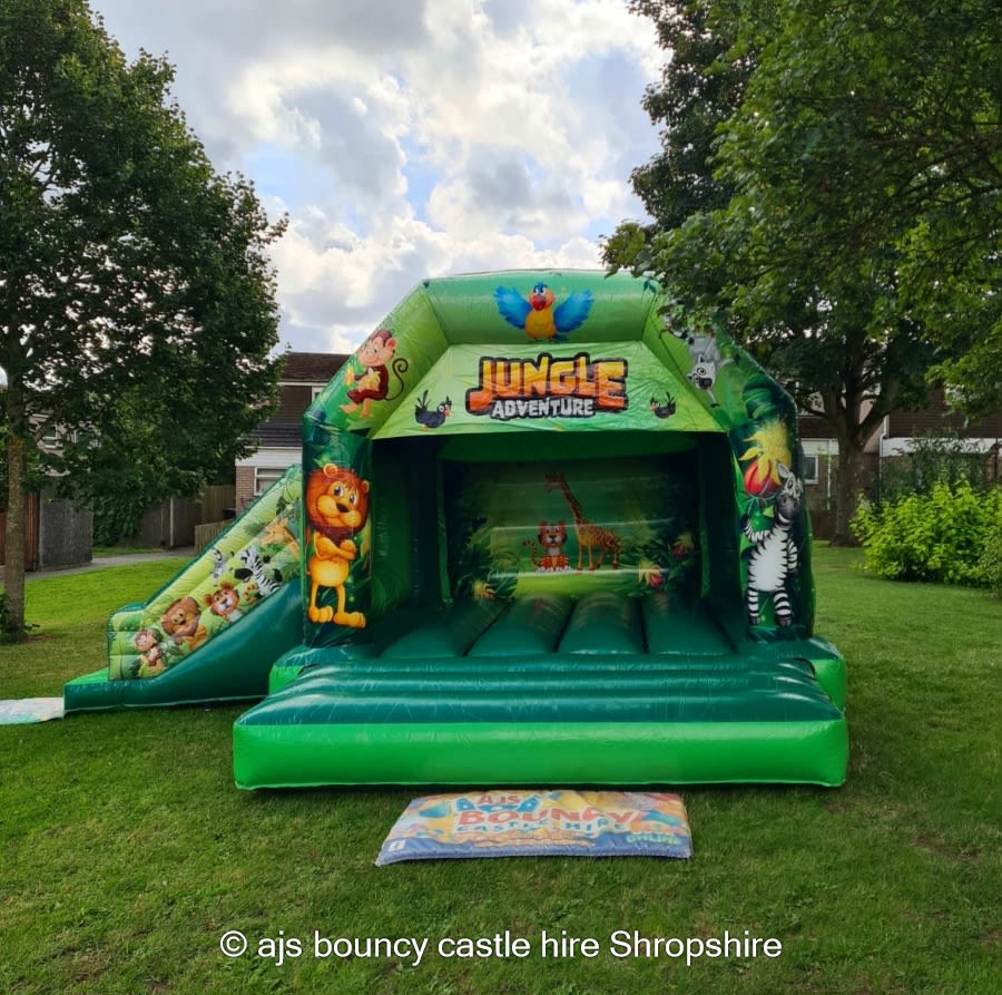 Bouncy Castles with Slides in Telford, Shropshire, and Beyond