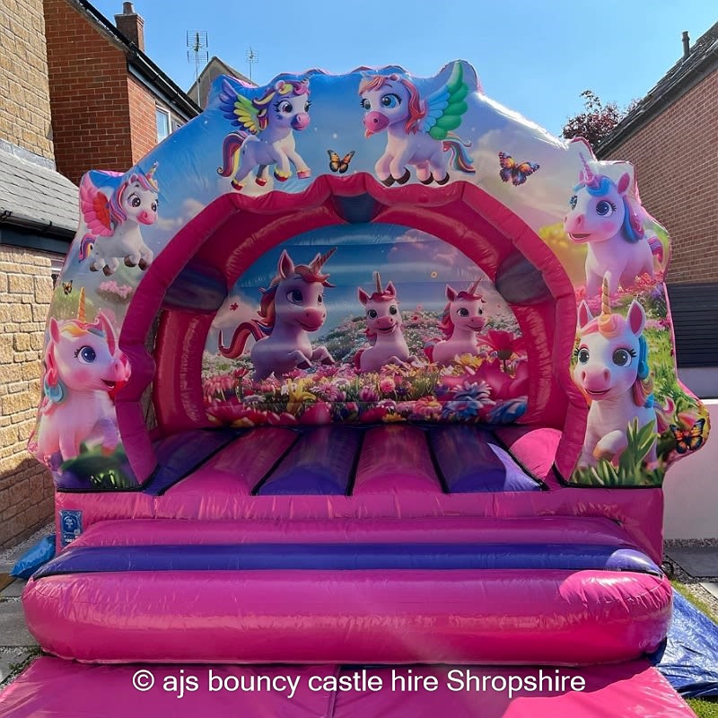 3D Unicorn Bouncy Castle Hire - Inflatable Fun in Telford, Shropshire